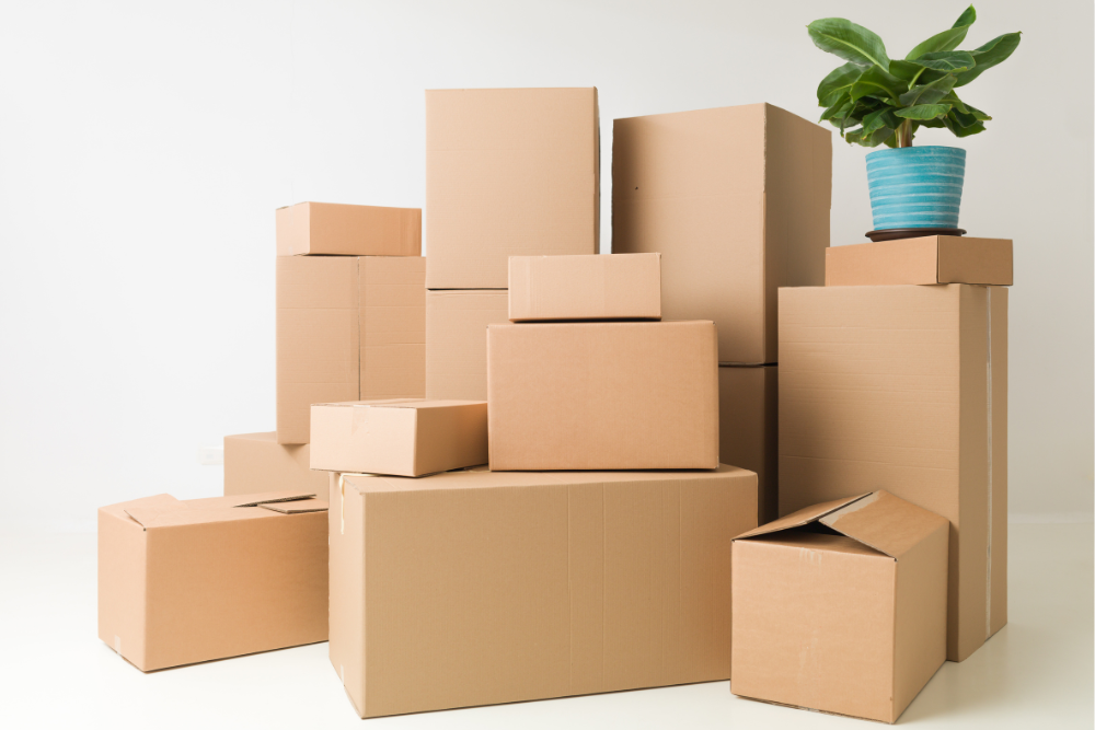 Cost-Effective Moving Boxes in Hamilton: A Comprehensive Buyer's Guide